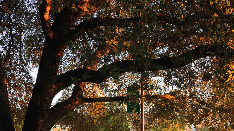 Finance & Administration - University Libraries - UNT